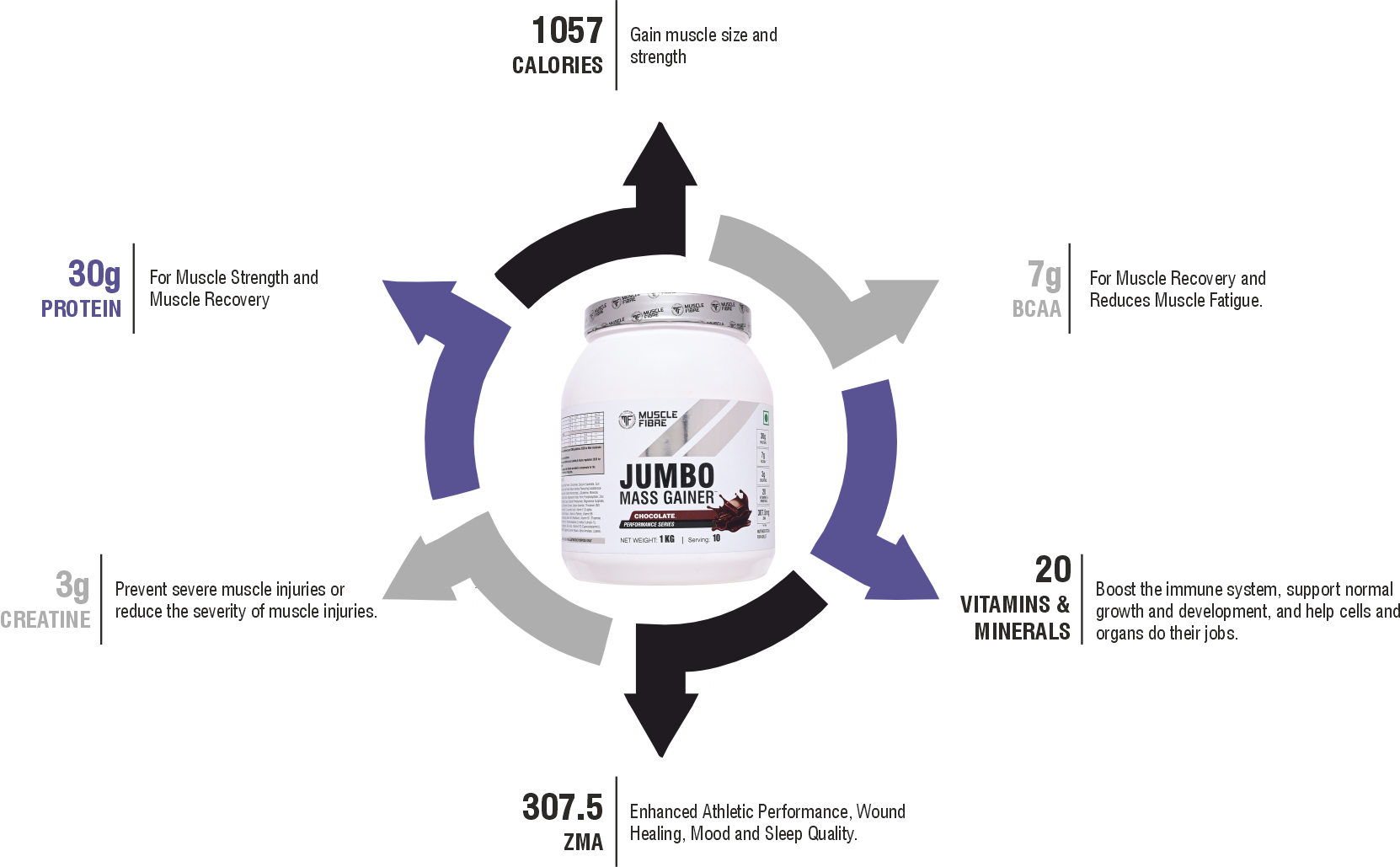 Jumbo Mass Gainer 1Kg – Muscle Fibre