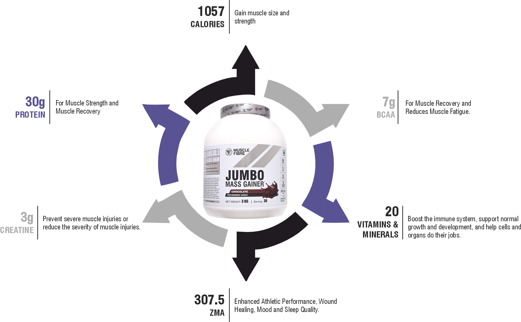 Jumbo Mass Gainer 3Kg – Muscle Fibre